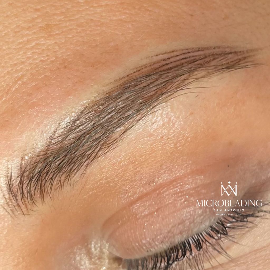 Microblading Not Your Match? Unveiling Nanobrows: A Viable Alternative ...